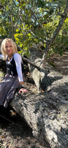 Old tree a part of local Marietta history falls | News, Sports, Jobs ...